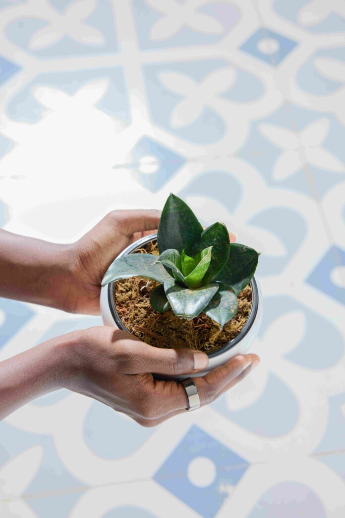 Ultrahuman Ring AIR - The Kickz Stand